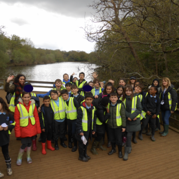 Blog - Osidge Primary School